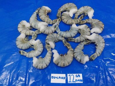 Domestic Channel - Zeal Aqua