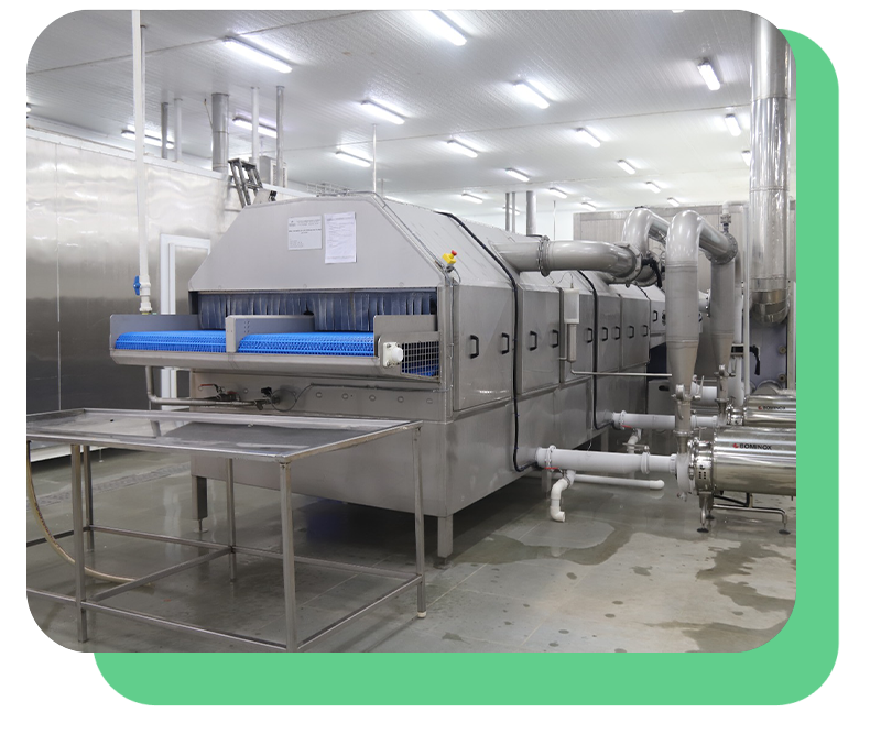 Processing Unit - Zeal Aqua